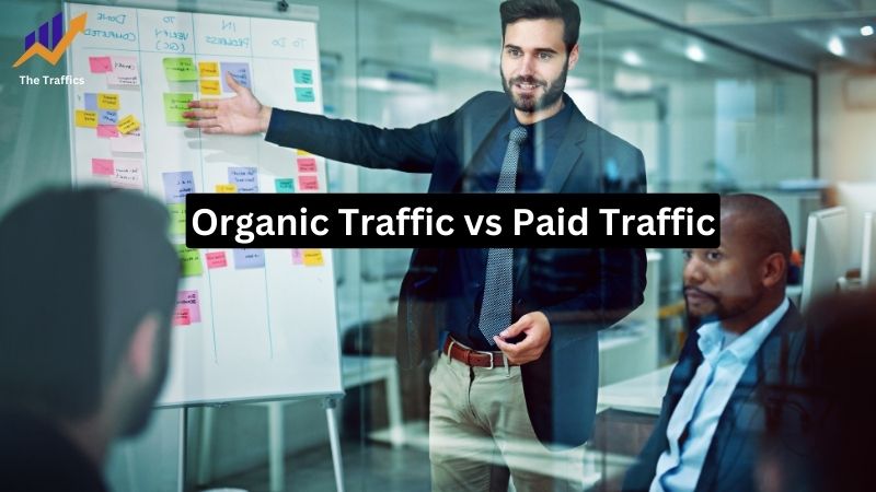 Organic Traffic vs Paid Traffic? Choosing the Best Path for Your ...